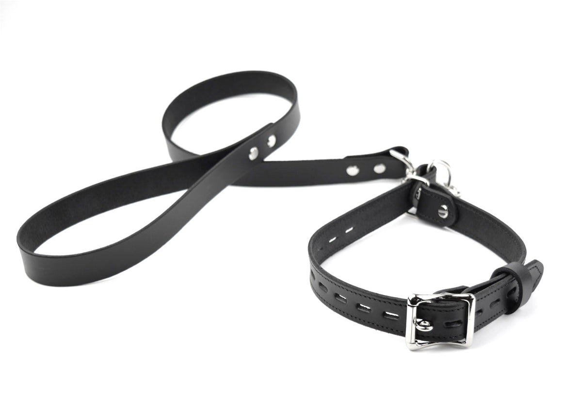 Human Collar And Leash